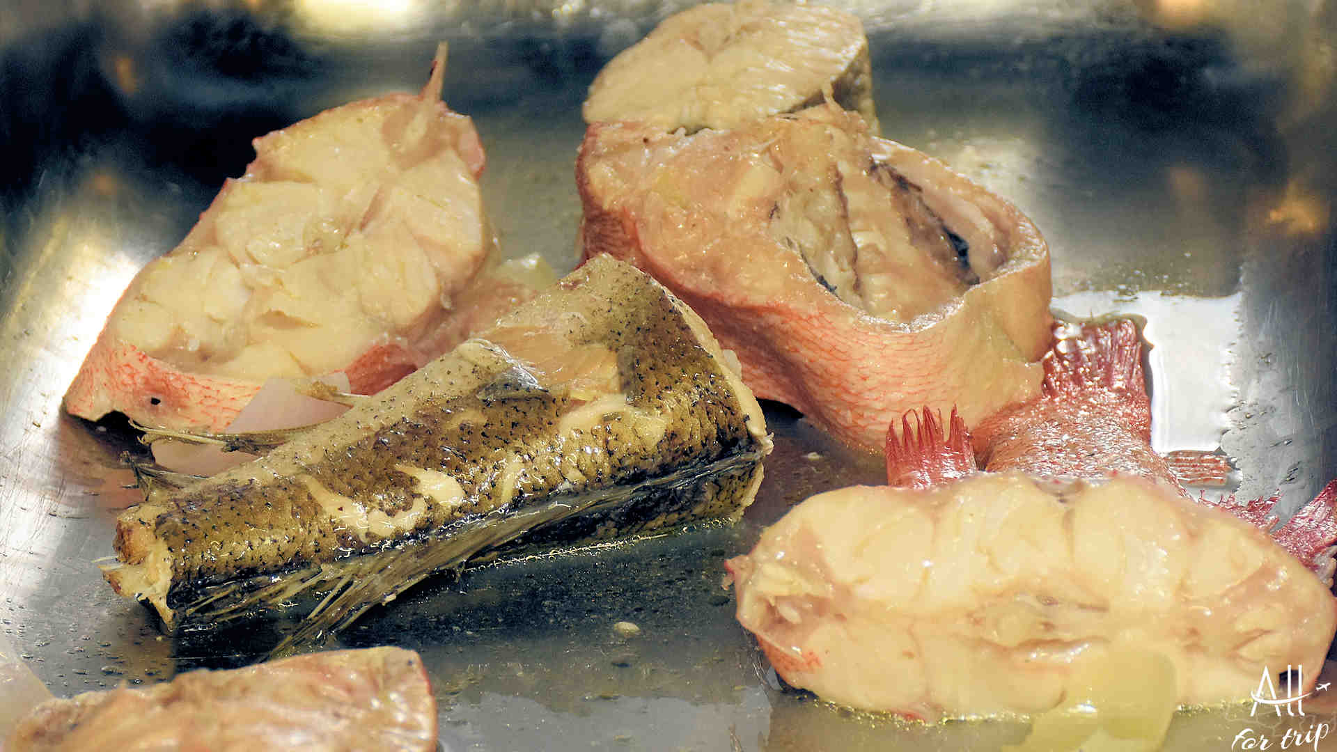 CELLAR – AllForTrip