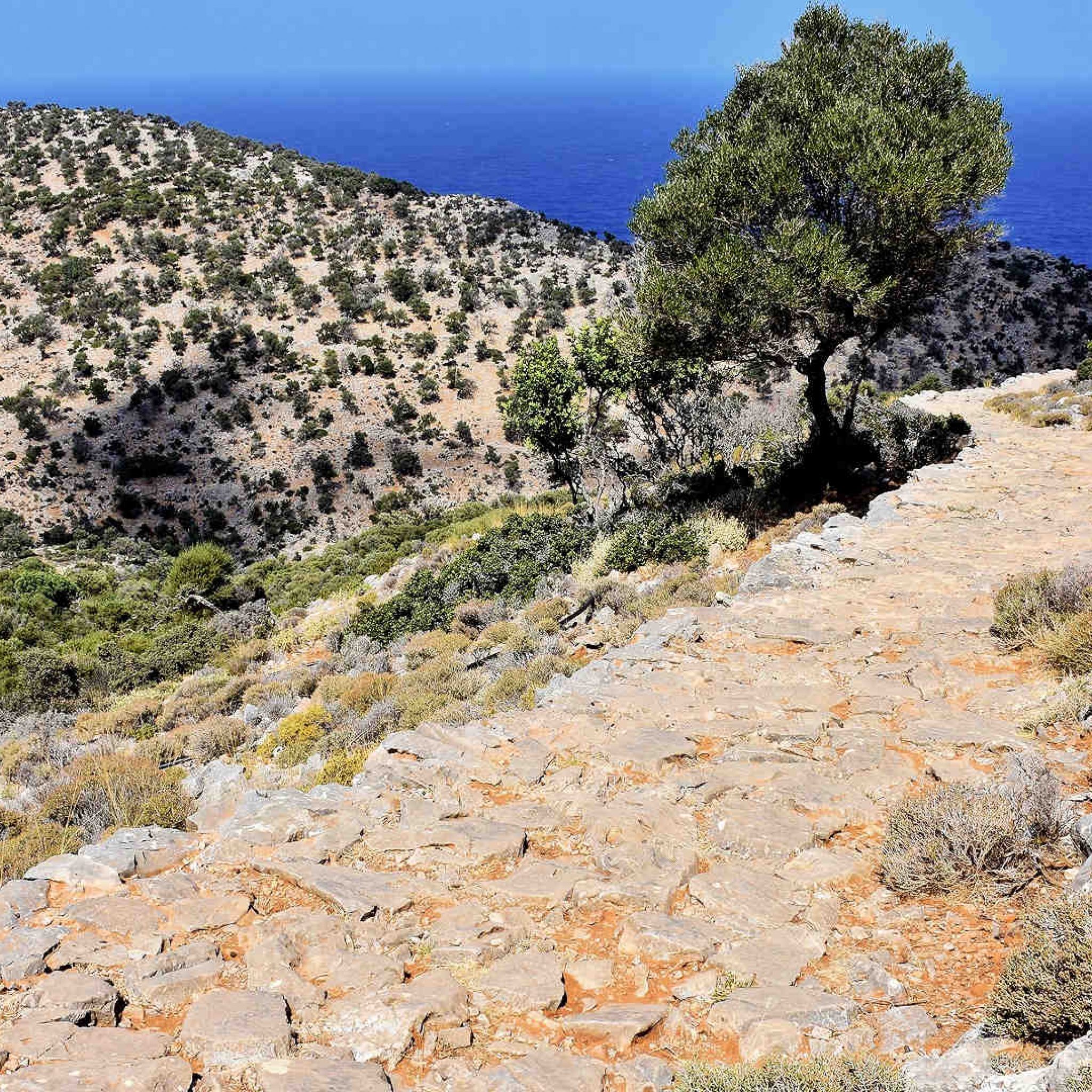 Avlaki Gorge - AllForTrip