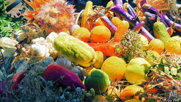 Botanical Park & Gardens Of Crete - AllForTrip