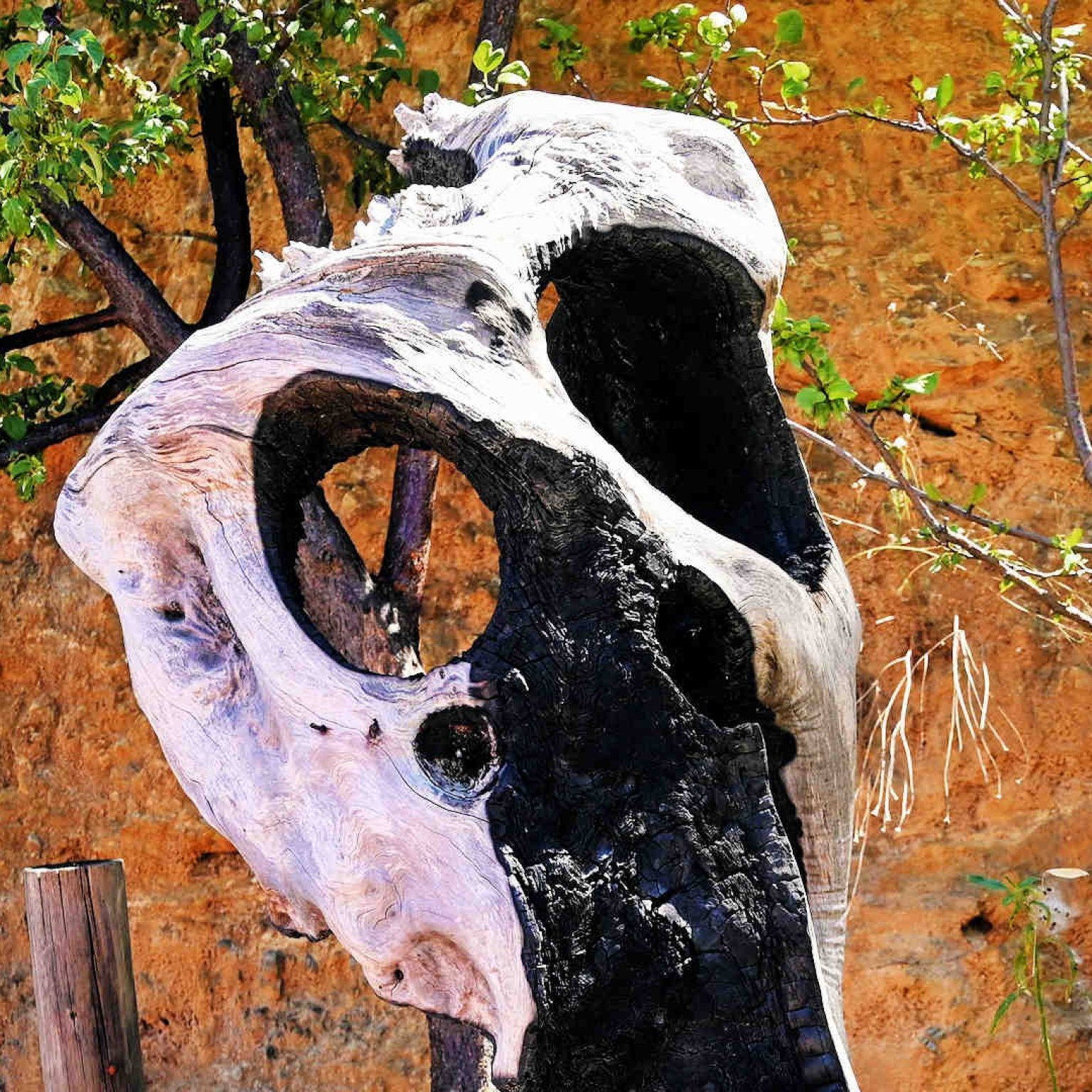 Botanical Park & Gardens Of Crete - AllForTrip