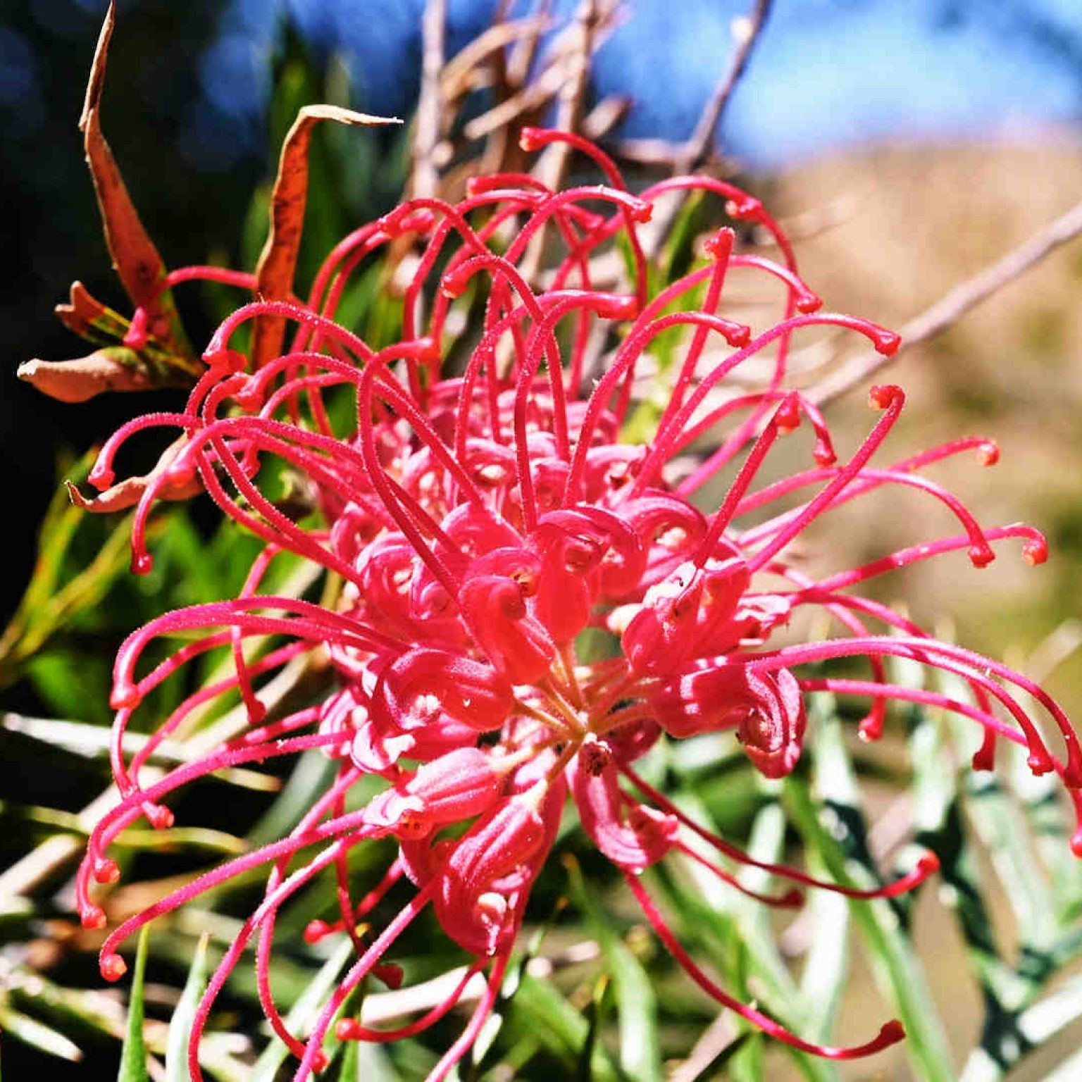 Botanical Park & Gardens Of Crete - AllForTrip