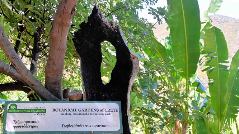Botanical Park & Gardens Of Crete - AllForTrip