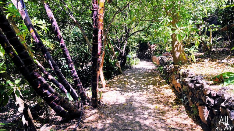 Botanical Park & Gardens Of Crete - AllForTrip