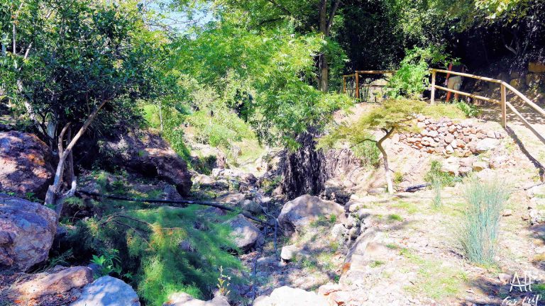 Botanical Park & Gardens Of Crete – AllForTrip