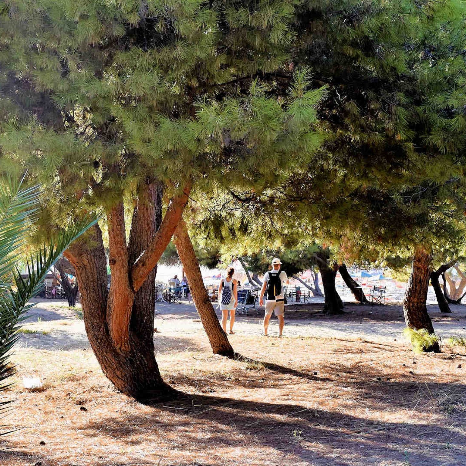 AGIOI APOSTOLI - YANNIS BEACH - AllForTrip